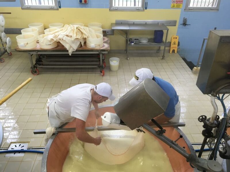 Parma: Parmigiano-Reggiano Tour and Tasting - Who Will Love This Experience?