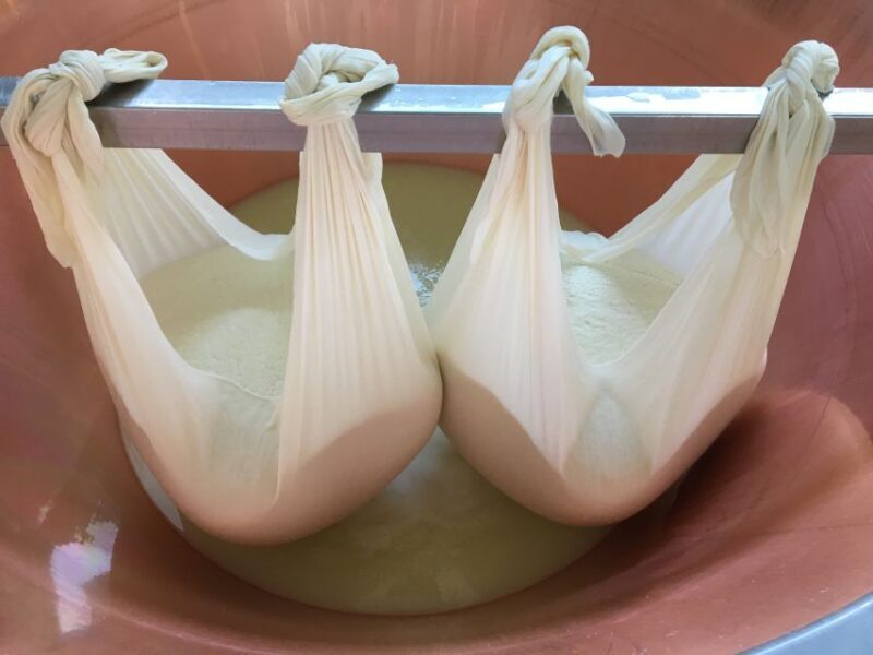 Parma: Parmigiano-Reggiano Tour and Tasting - FAQ