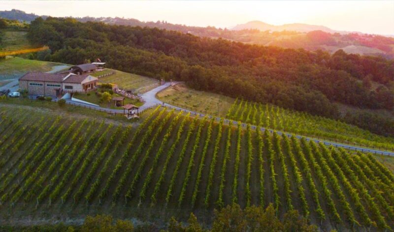 Parma: Winery Tour and tasting - What Makes This Tour Stand Out