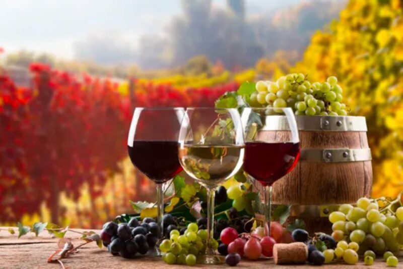 Parma: Winery Tour and tasting - Who Will Love This Tour?