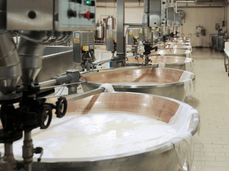 Parmesan Cheese Factory Tour & Tasting near Parma - Tasting Experience: Cheese, Wine, and More