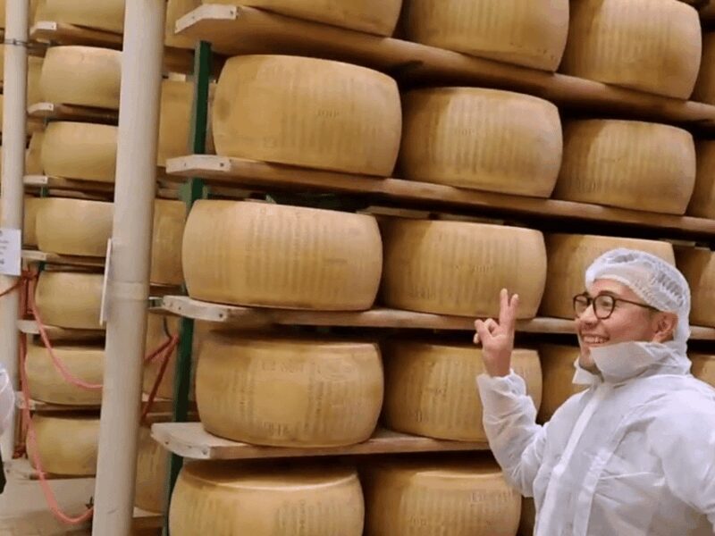 Parmesan Cheese Factory Tour & Tasting near Parma - Sustainability & Animal Welfare