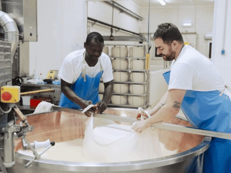 Parmesan Cheese Factory Tour & Tasting near Parma - Practicalities: What’s Included and What Not