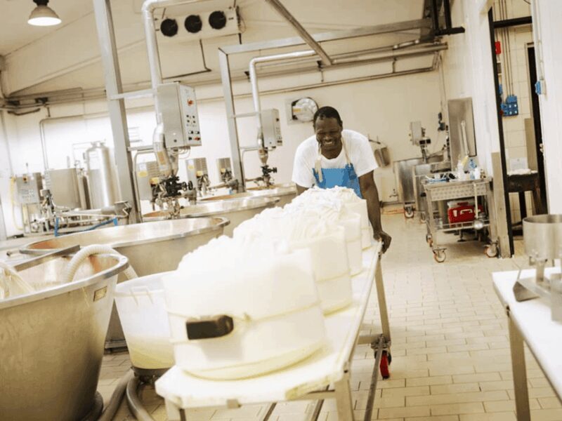 Parmesan Cheese Factory Tour & Tasting near Parma - Who Will Love This Tour?