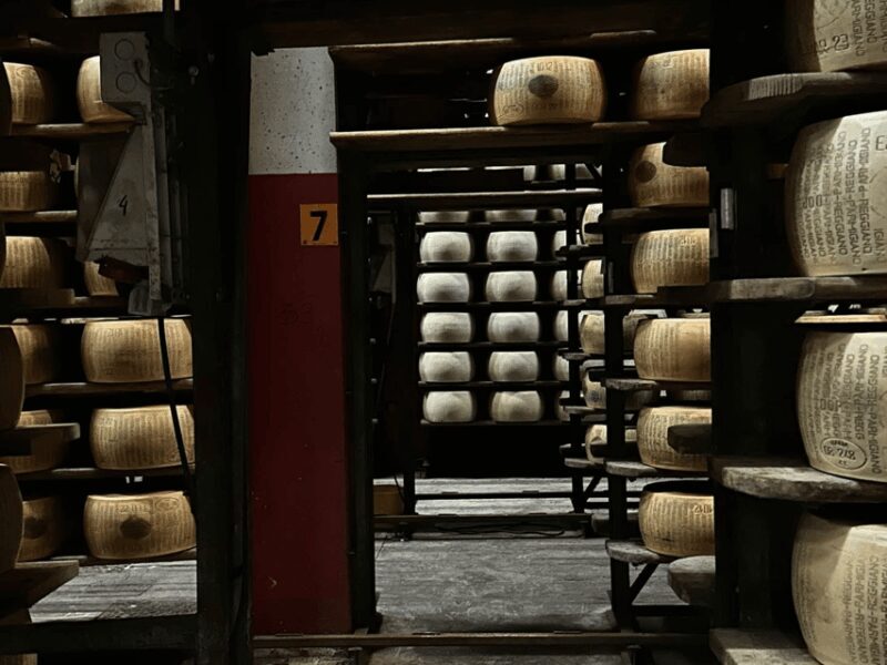 Parmesan Cheese Tour & Tasting in Modena - Key Points