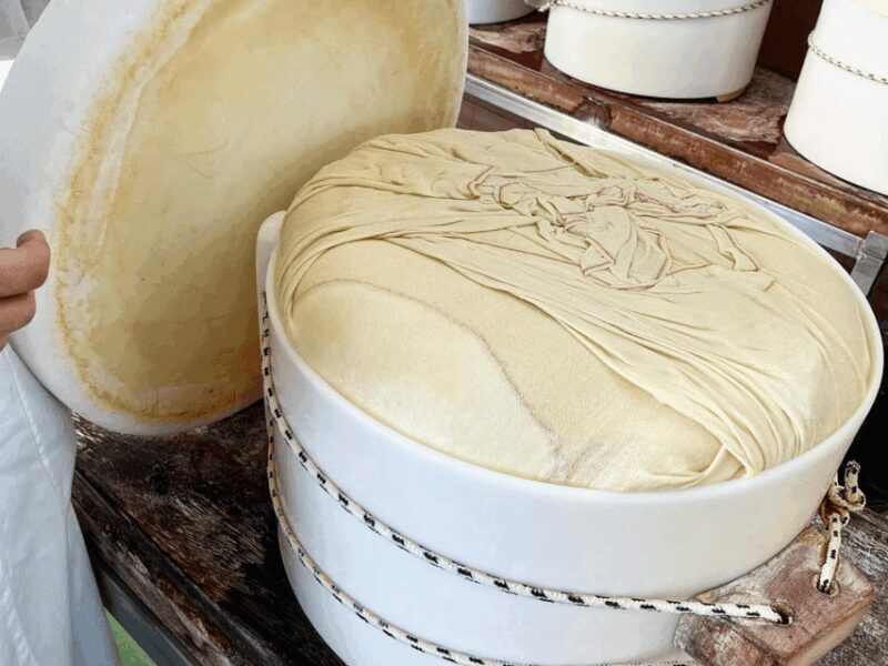 Parmesan Cheese Tour & Tasting in Modena - The Aging Warehouse & Cheese Tasting