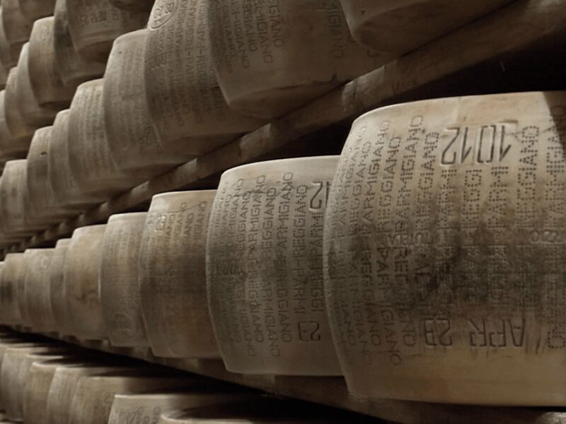 Parmesan Cheese Tour & Tasting in Modena - Insights from Reviews