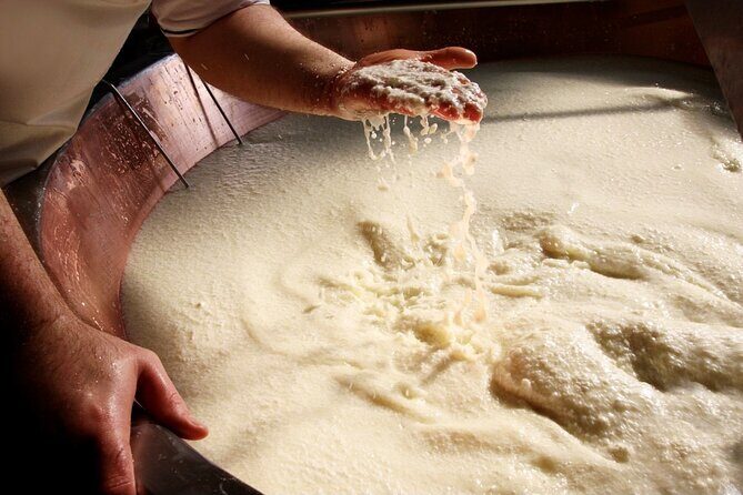 Parmigiano & Balsamic Artisans: In-Depth Private Tour and Tasting - What to Expect on this Parmigiano & Balsamic Private Tour