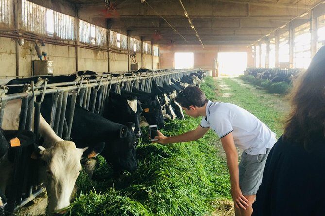 Parmigiano & Balsamic Artisans: In-Depth Private Tour and Tasting - Frequently Asked Questions