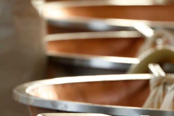 Parmigiano Cheese Factory Visit and Tasting - An In-Depth Look at the Experience