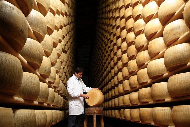 Parmigiano Cheese Factory Visit and Tasting - Final Thoughts: Who Is This Tour Best For?