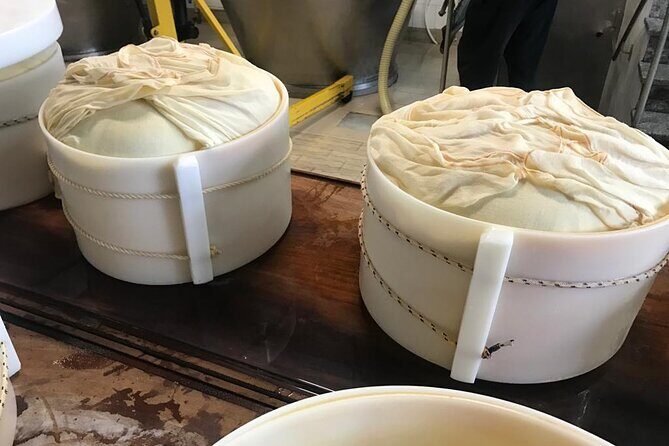 Parmigiano Cheese Factory Visit and Tasting - FAQ