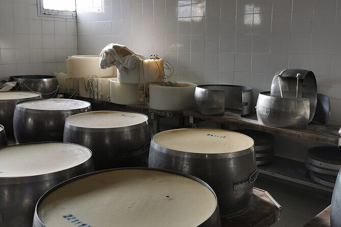 Parmigiano, Prosciutto and Traditional balsamic Tour from Bologna - Final Thoughts