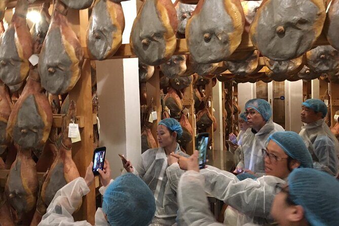 Parmigiano-Reggiano and Parma Ham Small Group Tour - What the Tour Includes and How It Flows