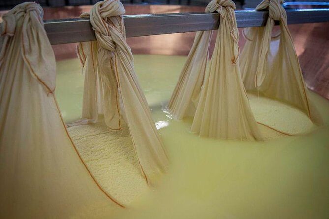Parmigiano Reggiano Cheese Factory Tour & Tasting Experience - The Complete Experience: What You Can Expect