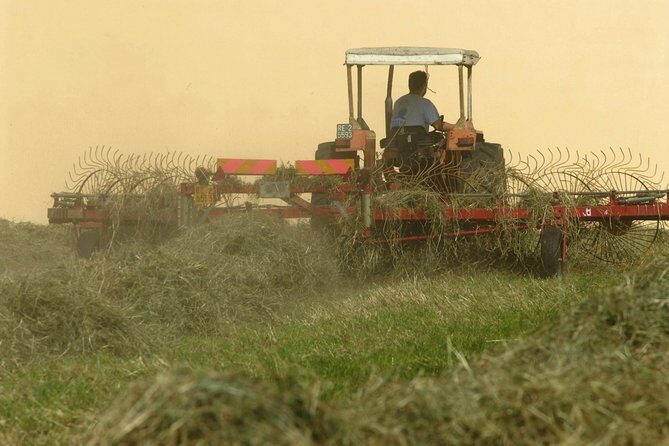 Parmigiano Reggiano Parma Ham and Castle Private Tour & Tasting - FAQs