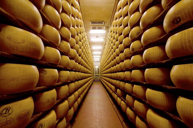 Parmigiano-Reggiano Tour and tastings - A Deep Dive into the Tour Experience