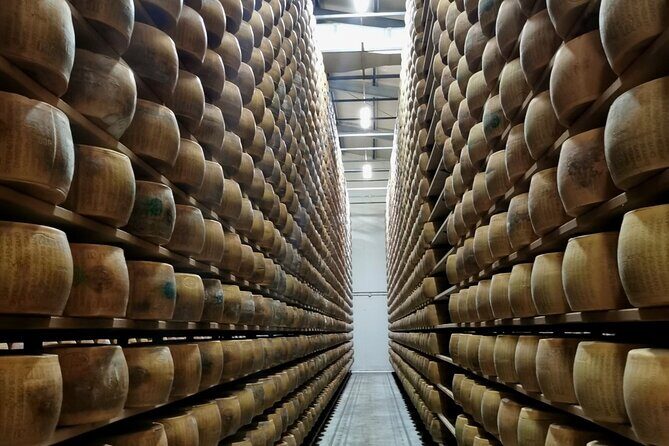 Parmigiano Wine and Balsamic Vinegar Experience from Bologna - Key Points  
