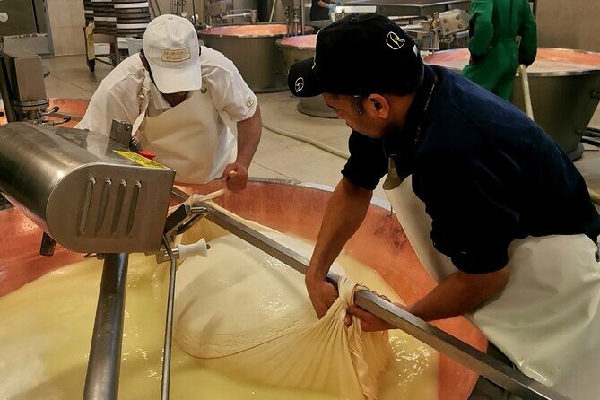 Parmigiano Wine and Balsamic Vinegar Experience from Bologna - A Closer Look at the Itinerary  