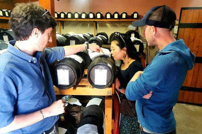 Parmigiano Wine and Balsamic Vinegar Experience from Bologna - Why This Tour is a Fantastic Choice  