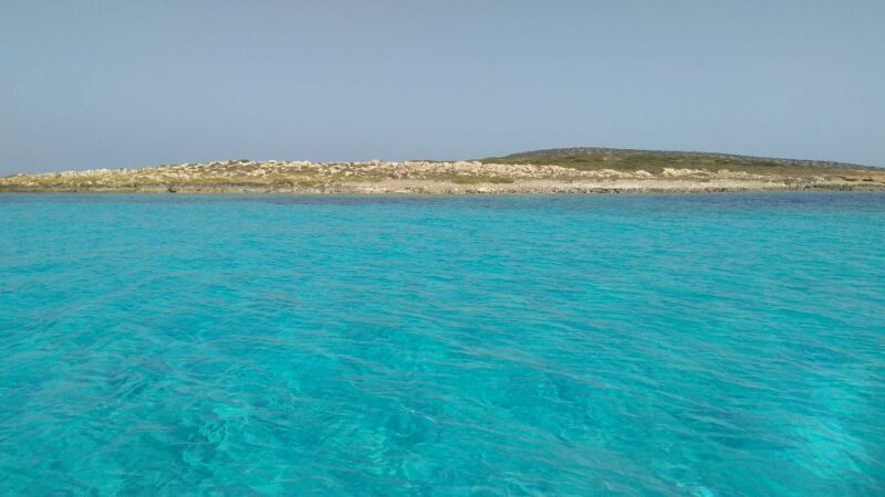 Paros: Antiparos Island and Despotiko Private Boat Trip - Why Choose the Paros: Antiparos & Despotiko Boat Trip?