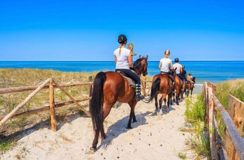 Paros: Morning Island Horseback Riding Adventure - The Scenic Trails and Views