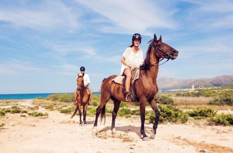 Paros: Morning Island Horseback Riding Adventure - The Sum Up