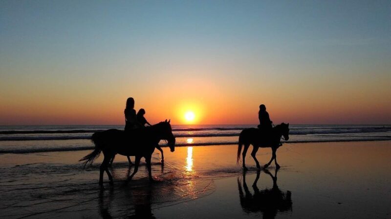 Paros: Morning Island Horseback Riding Adventure - FAQ