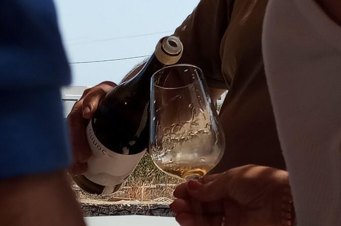 Paros Wine Tasting at a Local Winery - Final Thoughts