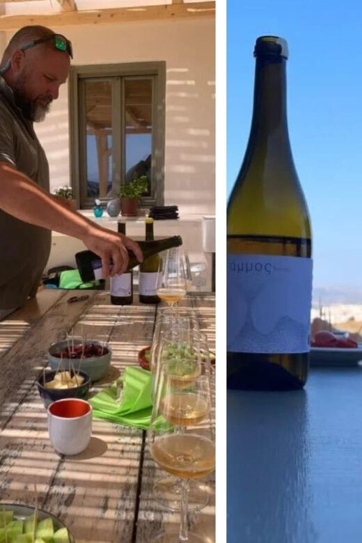 Paros: Wine tasting at Local Winery - The Experience: What to Expect on Your Visit to Domaine Myrsini