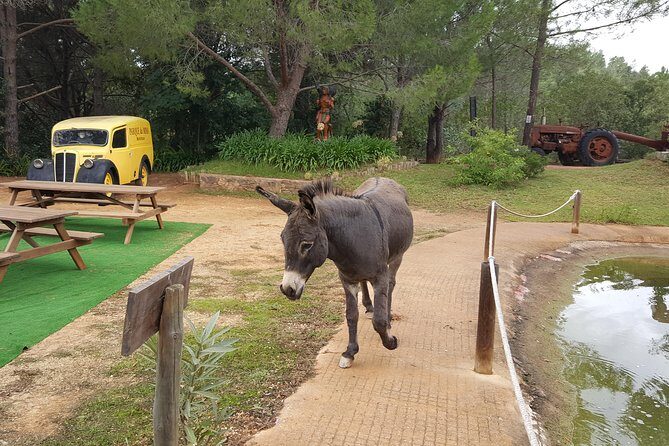 Parque da Mina Entrance Ticket - In-Depth Look at Parque da Mina