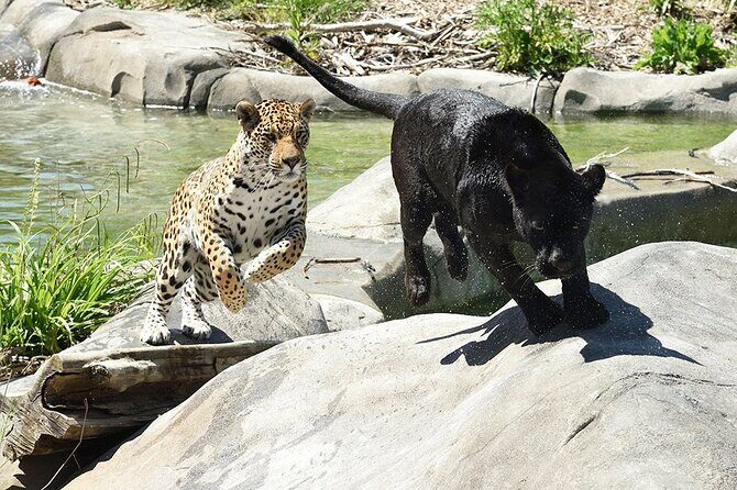 Parrot World Immersive Wildlife Park Entry Ticket next to Paris - Who Is This Tour Best For?