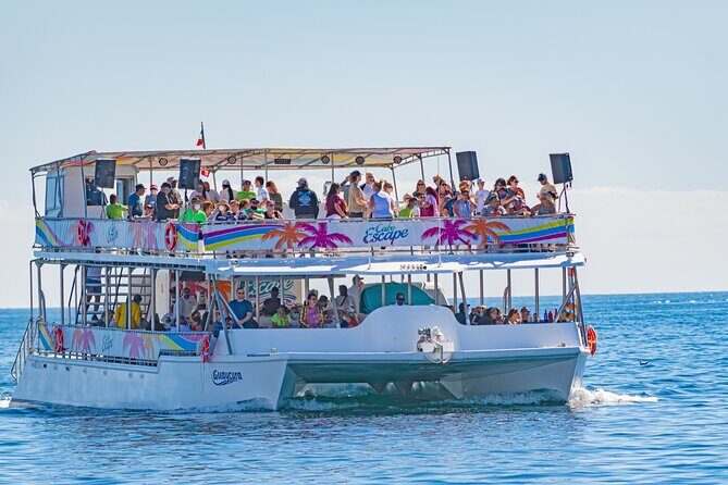 Party Cruise to the Arco de Cabo I Sunset Fajitas - The Sum Up
