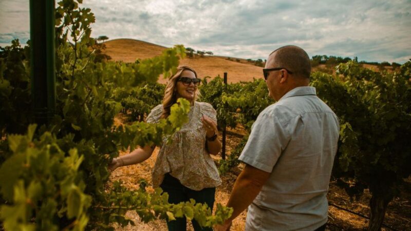 Paso Robles: The Luxe Wine Trail Excursion - An In-Depth Look at the Luxe Wine Trail Excursion