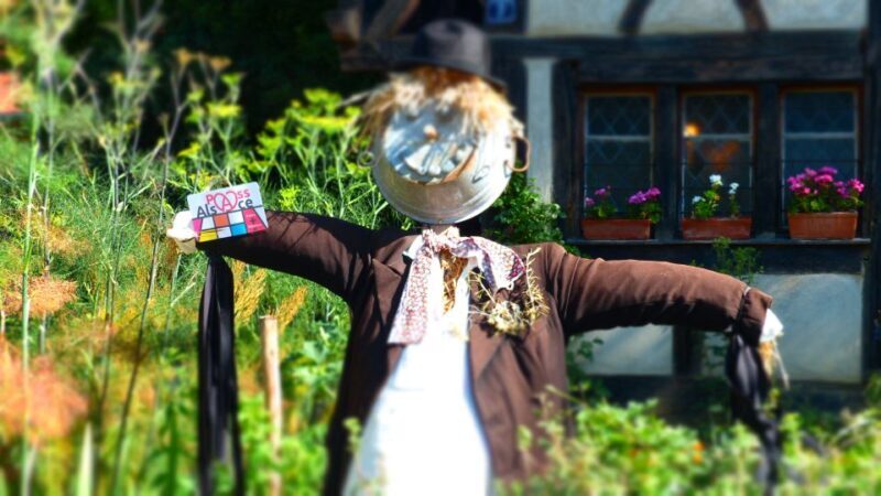 Pass Alsace : The Best of Alsace in your Pocket - What is Pass Alsace and How Does It Work?