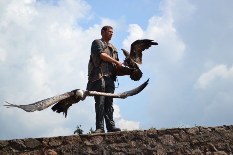 Pass Alsace : The Best of Alsace in your Pocket - What Could Be Better?