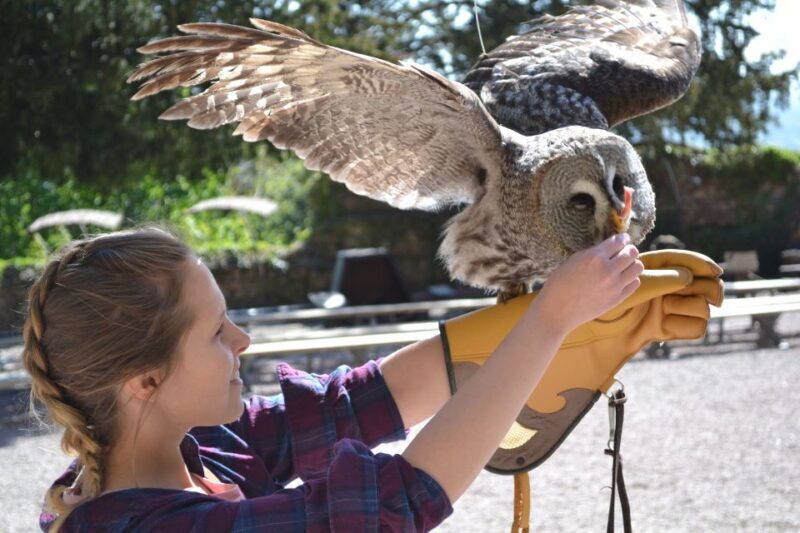 Pass Alsace : The Best of Alsace in your Pocket - The Sum Up