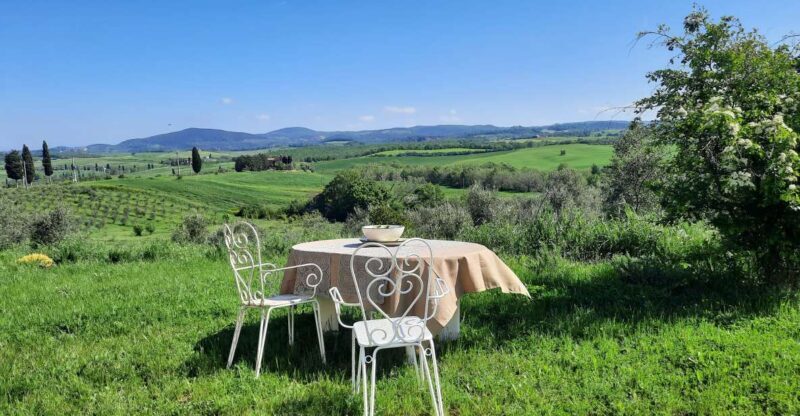 Passeggiando nell'uliveto: come nasce l'olio extrav d'oliva? - The Itinerary and What to Expect