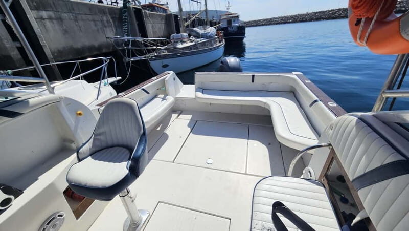 Passeio de Barco em Sesimbra (Publico/Compartilhado) - Authentic Experiences from Reviewers