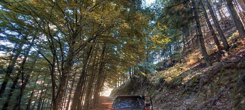 Passeio Guiado em 4x4 para conhecer a Serra da Estrela - Final Thoughts: Is This Experience Right for You?
