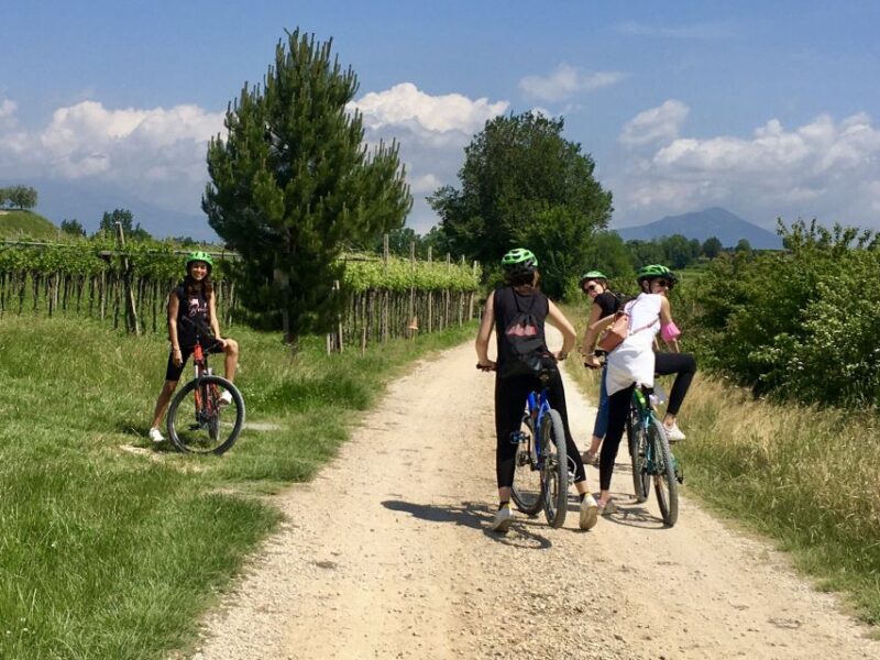 Pastrengo: e-bike tour and wine tasting in the Castle - Value for Money