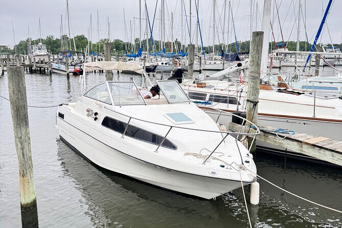 Patapsco River Boat Cruise Scenic 2 Hours Adventure - What to Expect from the Patapsco River Cruise