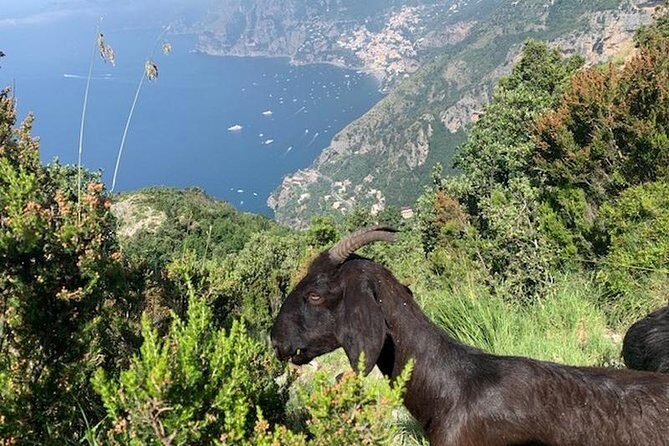 Path of the gods hike - Who This Tour Is Perfect For