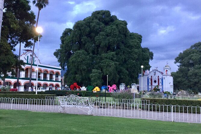 Paths of Mezcal - Who Will Love This Tour?