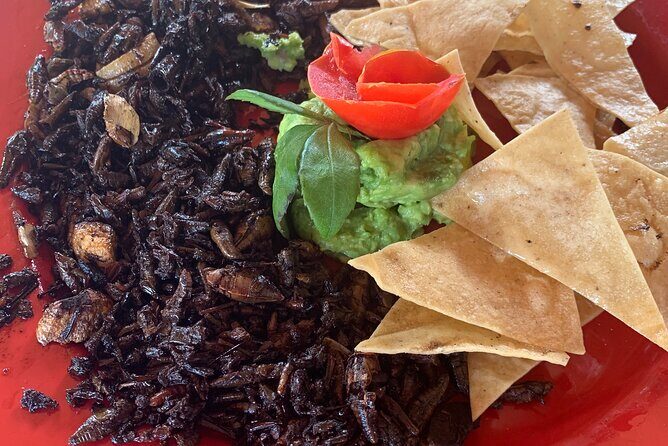 Paths of Mezcal - Final Thoughts: Is It Worth It?