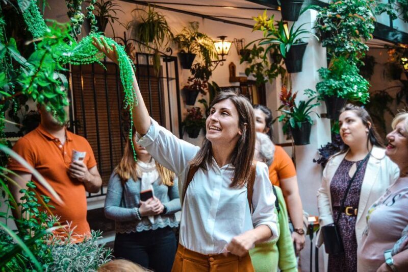 Patios of Cordoba Walking Tour - Key Points
