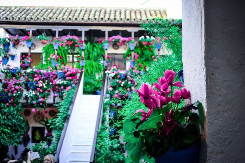 Patios of Cordoba Walking Tour - Practical Details and Tips