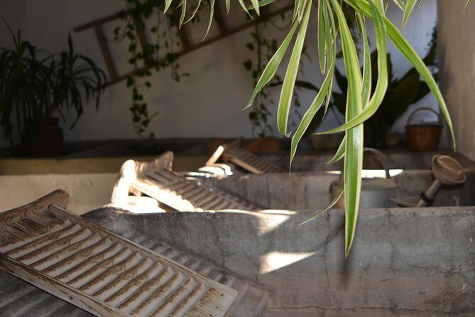 Patios & Perfums of Cordoba Festival Tour - The Experience versus the Cost