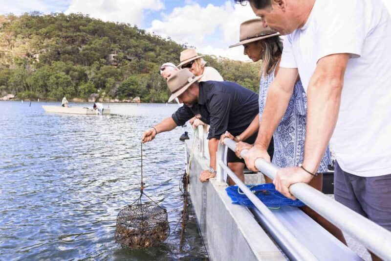 Pearl & Oyster Farm Hawkesbury River Cruise - An In-Depth Look at the Hawkesbury River Cruise Experience