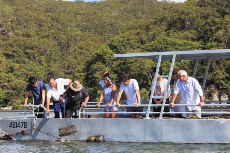 Pearl & Oyster Farm Hawkesbury River Cruise - Practical Considerations and Booking Details